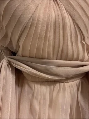 Birdy Grey | Dresses | Birdy Grey Blushnude Strapless Pleated Maxi ...